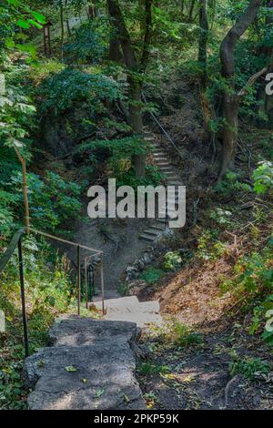 Lauenburg Castle Ruin near Stecklenberg Stock Photo - Alamy