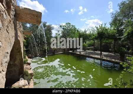 Finca Els Calderers, antique swimming pool, water cascade, water ...