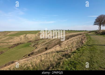 Oliver's Castle an iron age hill fort, Roundway Hill, near Devizes ...