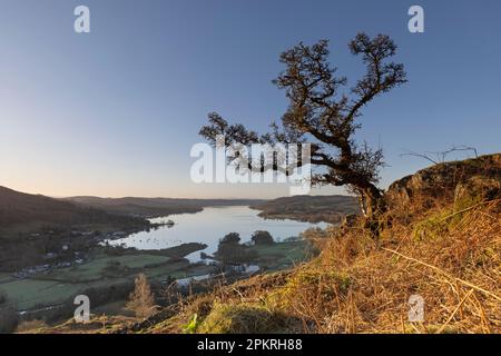 Bowness and Windermere from Furness Fells Stock Photo - Alamy