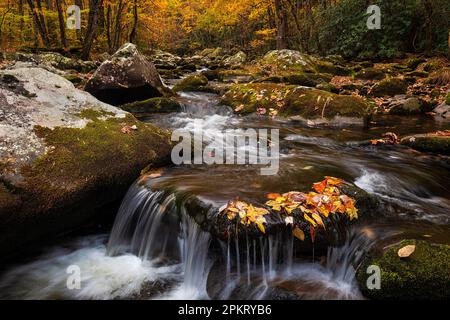 Autumn river scene in the Tremont Section of Great Smoky Mountain ...