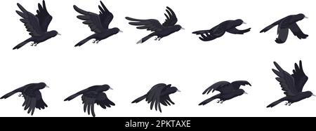 Crow fly sequence. Black flying raven silhouette, black bird wing move ...