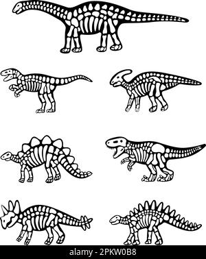 Kentrosaurus bones and skull. Kentrosaurus skeleton. Prehistoric animal ...