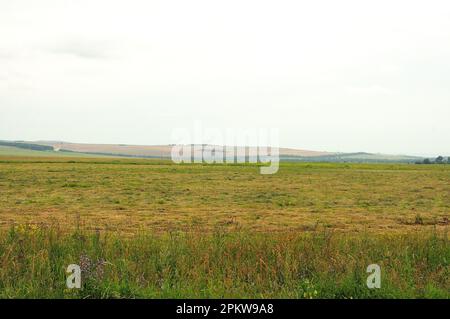 Endless hilly steppe with tall grass under a cloudy summer sky ...