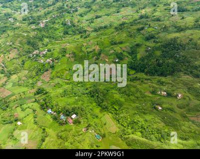 Agricultural landscape and farm fields. Cebu island, Philippines Stock ...