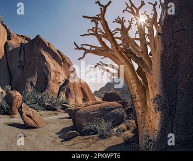 The Spitzkoppe (from German for "pointed dome"; also referred to as ...