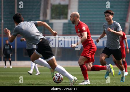 Qingdao Hainiu Football Club defeats Henan Football Club with 1-0 at ...