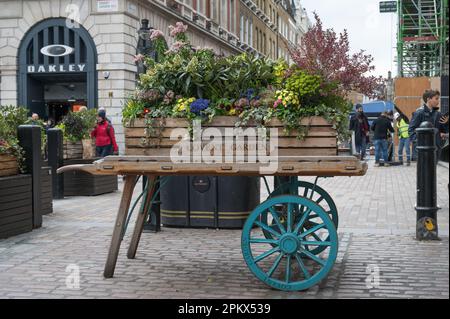 Floral display on a traditional coster market barrow. The Piazza ...