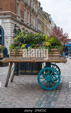 Floral display on a traditional coster market barrow. The Piazza ...