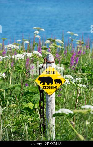 Attention Bears, Warning Sign, Katmai, Alaska, USA Stock Photo - Alamy