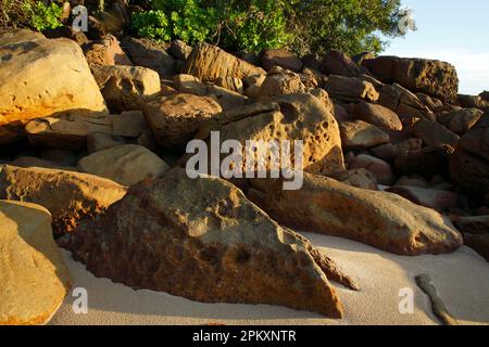 Beach with rocks and rainforest, Permai Rainforest, Satubong, South ...