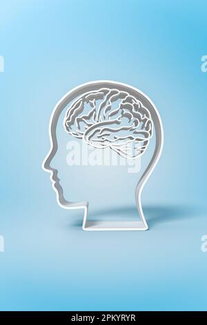 Brain placed inside of empty human head shape with shadow isolated on ...