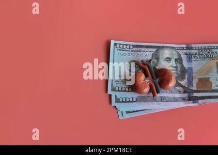 Human kidney and money. Buy and sell human organ, healthcare, medical ...