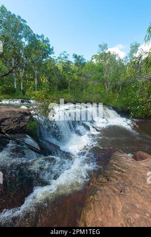 Scenic view of Isabella Falls, a tourist attraction in Far North ...