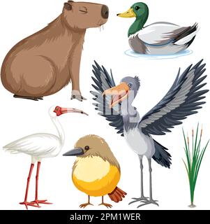 Various Wetland Animals Collection illustration Stock Vector Image ...