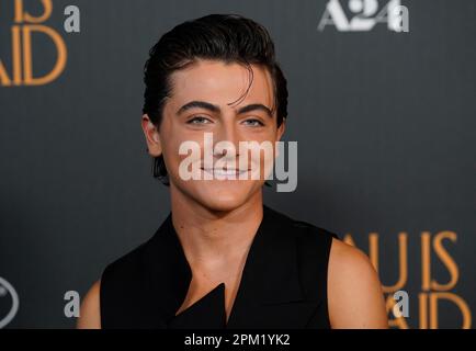 Armen Nahapetian poses at the premiere of the film "Beau Is Afraid ...