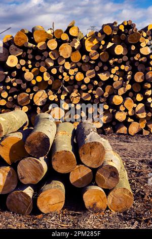 wooden logs on the open air Stock Photo - Alamy