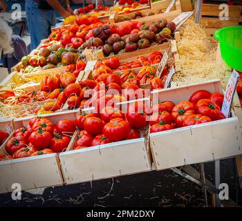 elderly woman chooses and buys a tomato at the market Stock Photo - Alamy