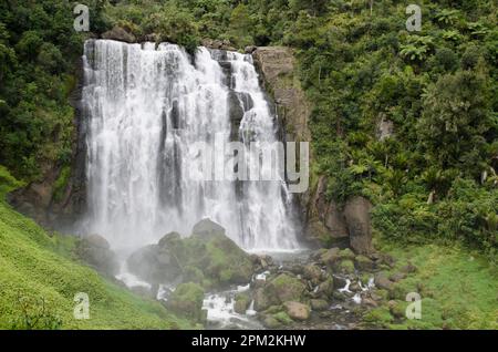 Marokopa Waterfall, Te Anga, Waitomo, North Island, New Zealand Stock ...