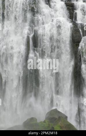 Marokopa Waterfall, Te Anga, Waitomo, North Island, New Zealand Stock ...
