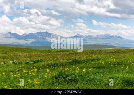 Javakheti Plateau landscape with ancient dormant volcanoes - Didi Abuli ...