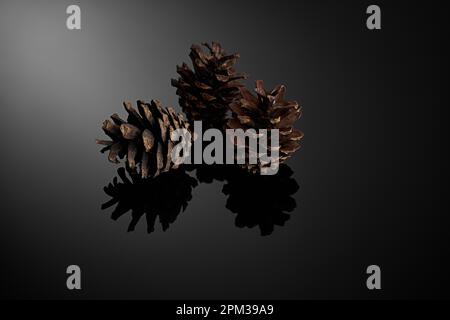 Close up of pine cones resting on green grass outdoors. Natural forest ...