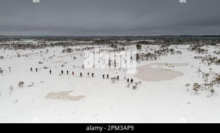 Aerial view on the rod of unidentified hikers walking with snowshoes ...