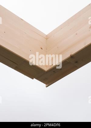 Experience sustainable modern architecture with our CLT construction ...