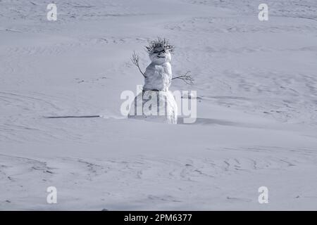 an impromptu snowman with twigs and sticks for hiar and limbs in a snow ...