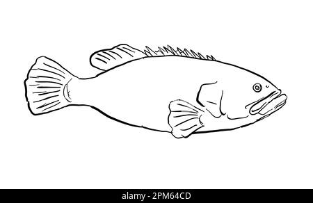 Cartoon style line drawing of a giant grouper Epinephelus lanceolatus ...