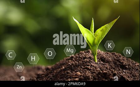 Illustration of chemical formula and elements. Young plant growing in ...