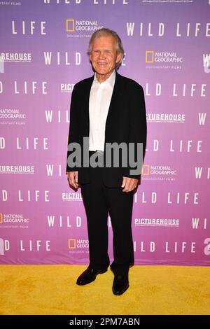 NEW YORK - APRIL 11: Rick Ridgeway attends the New York Premiere of ...
