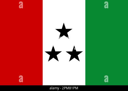 flag of Native peoples of Central America Nahua Pipil people. flag ...