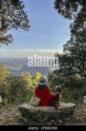 France, Vaucluse, Suzette, domaine Saint-Amant Stock Photo - Alamy