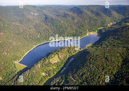 France, Haut Rhin, Wildenstein, Lake Kruth Wildenstein, the dam (aerial ...