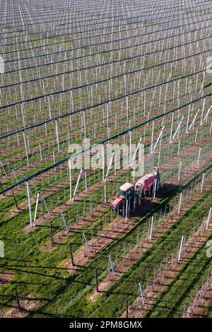 Dohna, Germany. 12th Apr, 2023. Silvio Stumpf, farmer, spreads ...