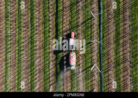 Dohna, Germany. 12th Apr, 2023. Silvio Stumpf, farmer, spreads ...
