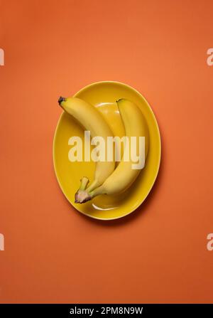 Vibrant Yellow and Orange Color Ripe Pumpkins with Natural Dry Pine ...