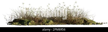 desert scene cut-out, dry plants isolated on white background banner ...