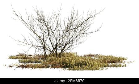 desert scene cut-out, dry plants isolated on white background banner ...