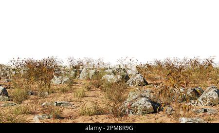 desert scene cut-out, dry plants isolated on white background banner ...