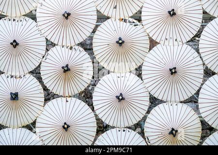 Paper umbrella in park Stock Photo - Alamy