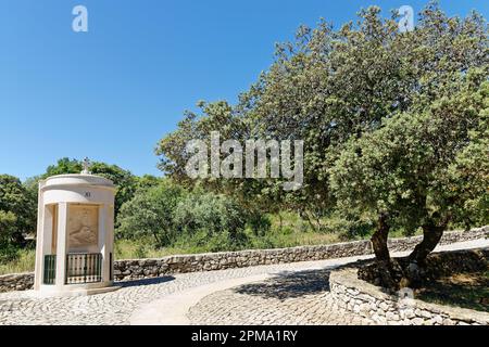 Way of the Cross, Valinhos, Fatima, Olive (Olea europaea) Portugal ...