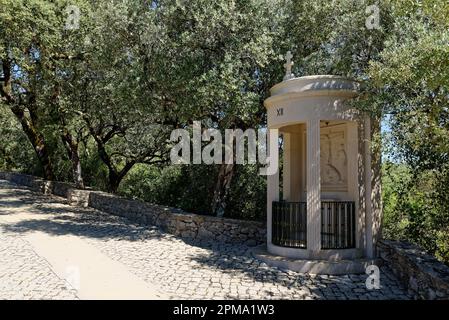 Way of the Cross, Valinhos, Fatima, Olive (Olea europaea) Portugal ...