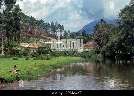 Munnar hill resort situated at the confluence of three rivers, Kerala ...