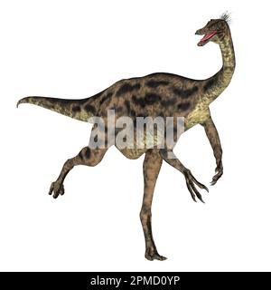 Gallimimus was a omnivorous theropod dinosaur that lived in Mongolia ...