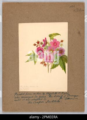 Thimbleberry, Elizabeth C. Field, Pencil and watercolor on paper ...