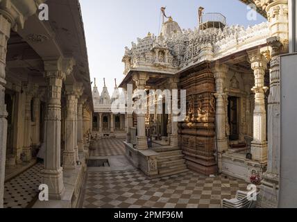 India, Gujarat, Patan, Panchasara Parshvanath jain temple, carving ...