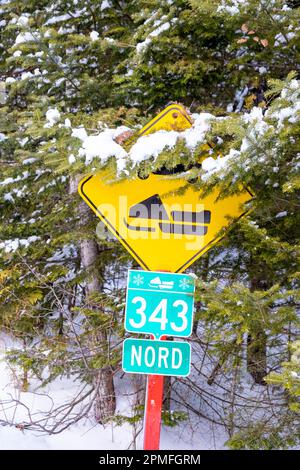 Canada, Quebec Province, snowmobile, indicator road sign Stock Photo ...