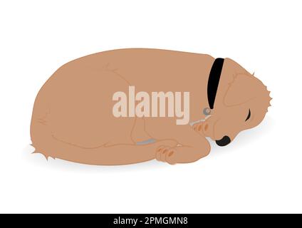 Cute cartoon sleeping Shiba Inu puppy. Adorable sleeping dog drawing ...